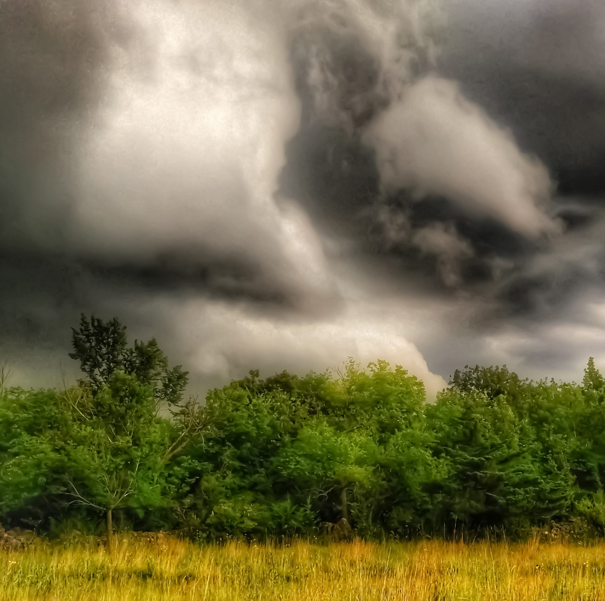 44th Annual Cerro Gordo Photo Show | Charles H. MacNider Art Museum